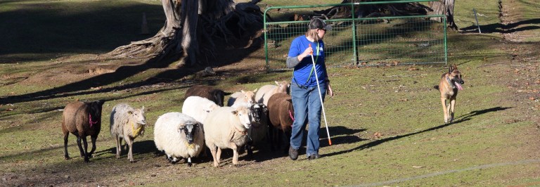 Events 2023 – All Breed Herding Club of Western WA